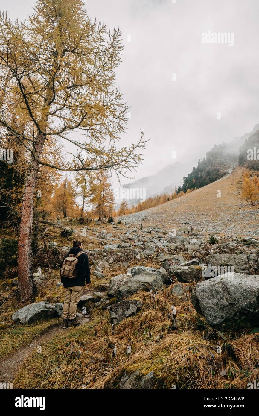 Back view of a male hiker with a backpack standing on a footpath ...