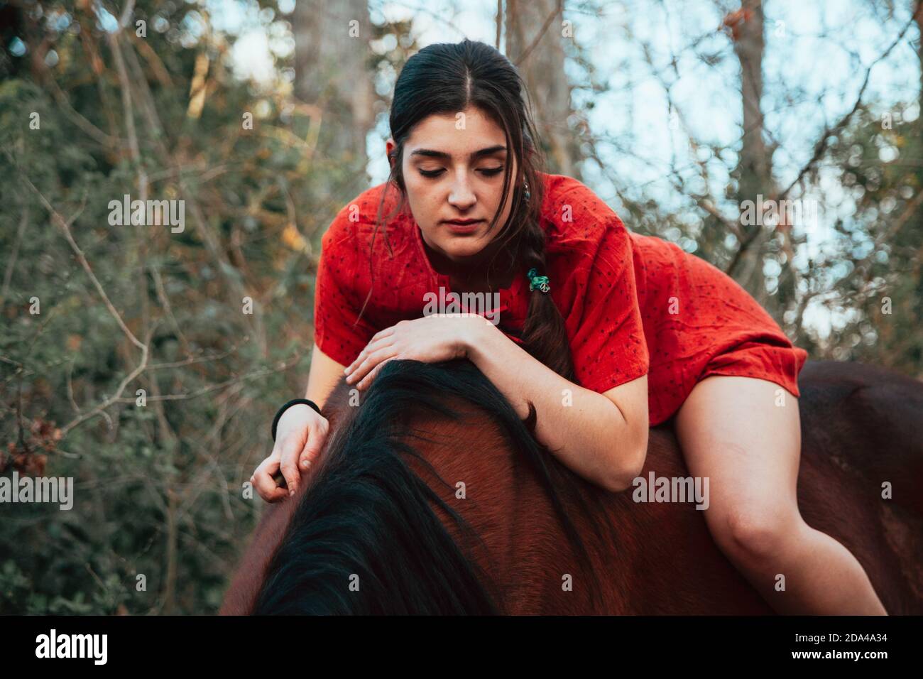 Beautiful young woman hugging brown horse and wearing dress Stock Photo ...