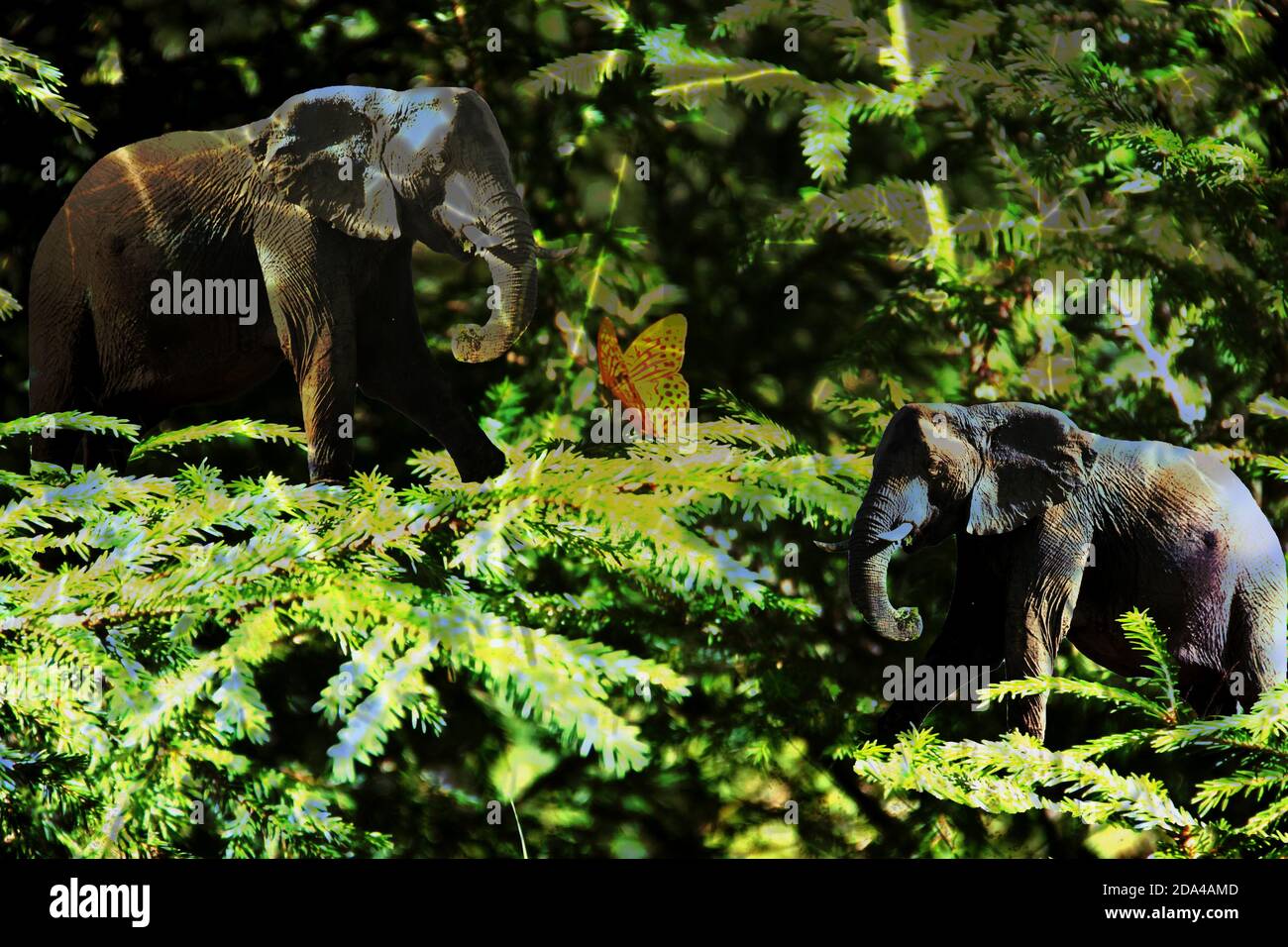 Elephants & butterfly Stock Photo - Alamy
