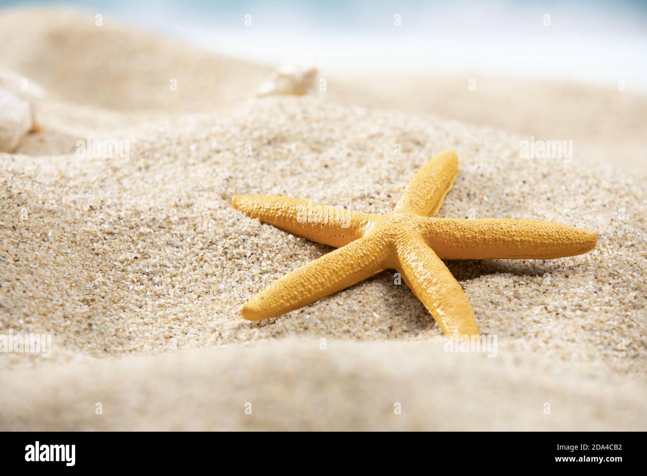 Closeup of a tiny starfish in the sand on a tropical background of a ...