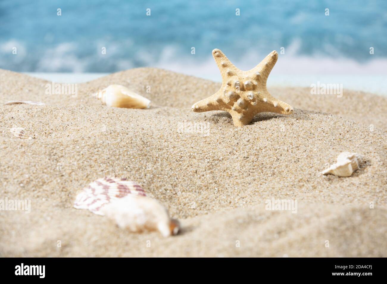 Closeup of a tiny starfish in the sand on a tropical background of the ...