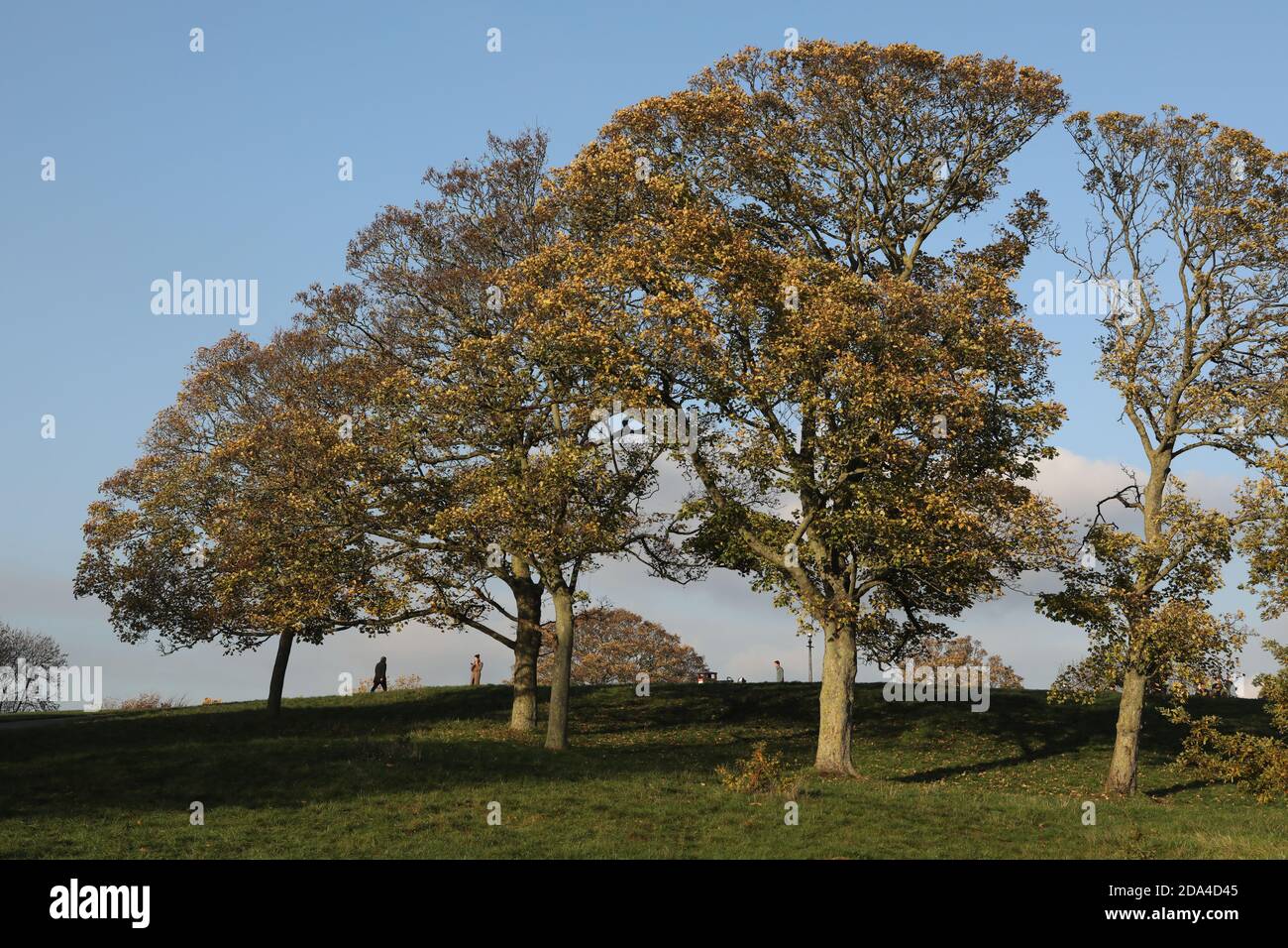 Autumn in Primrose Hill, London Stock Photo - Alamy