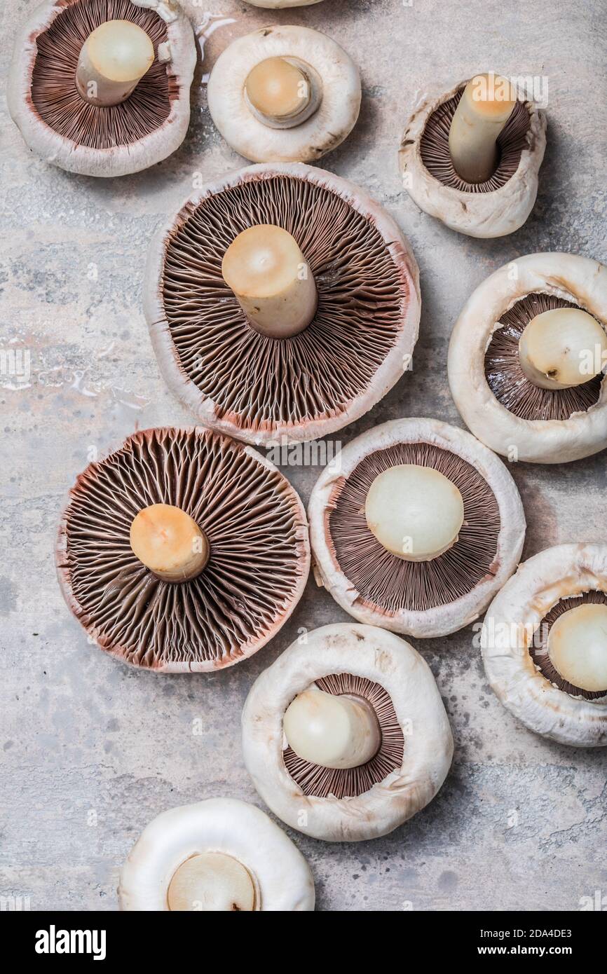 Texture of fresh mushrooms. Champignons (button mushrooms) on smooth ...