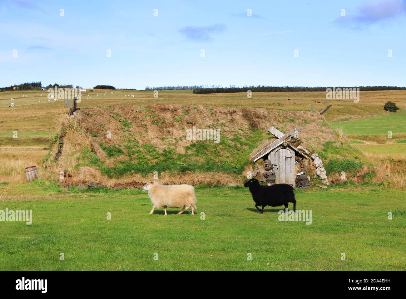 Ancient traditional turf house on a meadow in Iceland, Europe Stock ...
