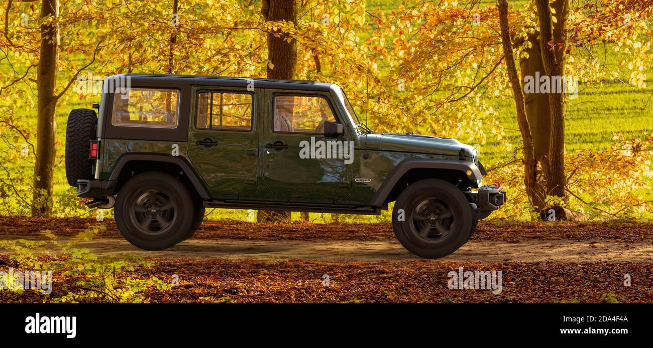 Jeep Wrangler driving a forest road Stock Photo - Alamy