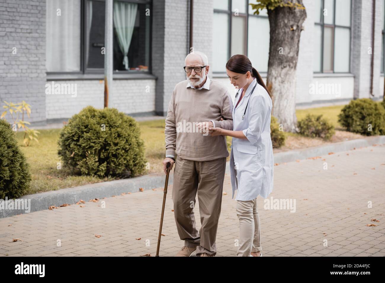 social worker supporting man with walking stick while strolling ...