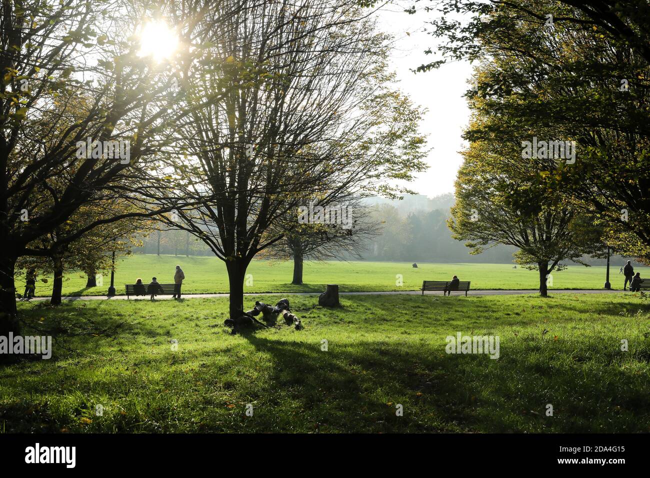 Autumn in Primrose Hill, London Stock Photo - Alamy