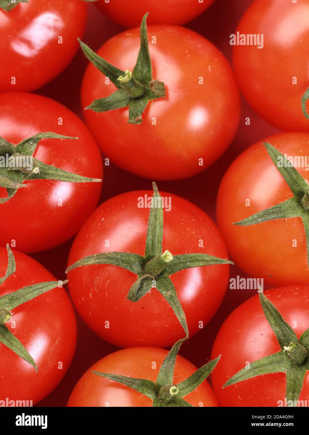Vertical top view closeup hi-res stock photography and images - Alamy
