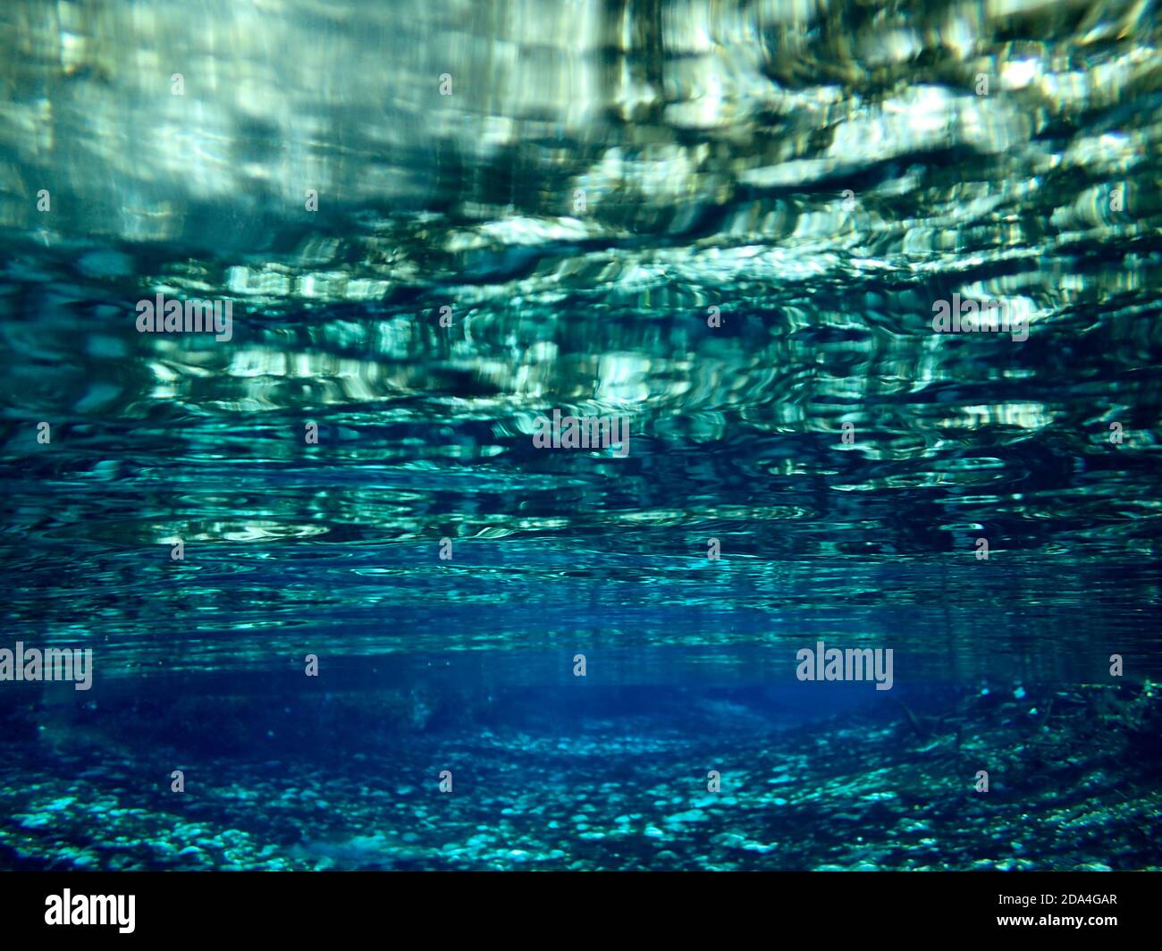 Crystal clear spring water at Ginnie Springs, one of Florida's most ...