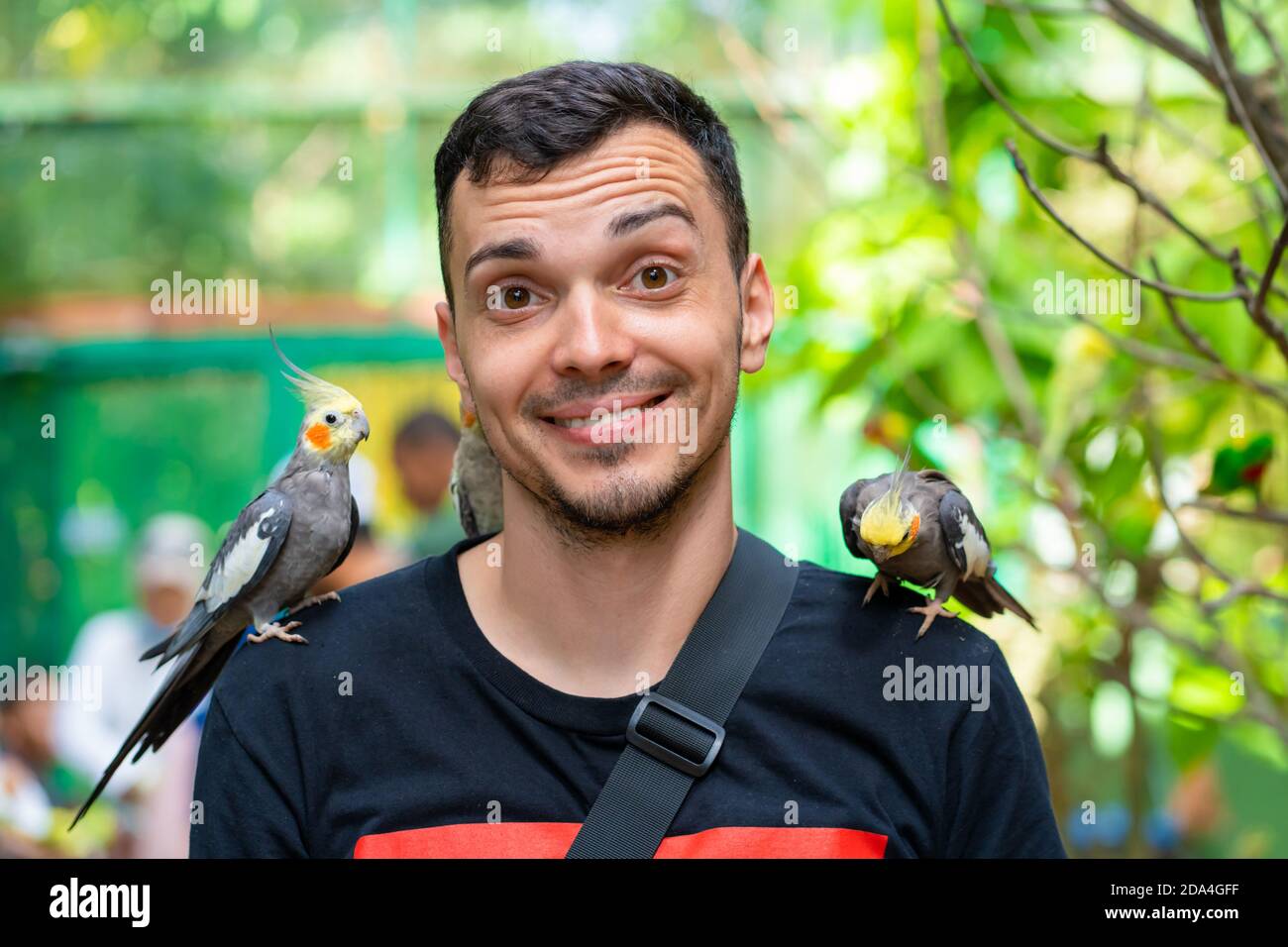 The guy in the bird park communicates with parrots. Tame parrots beg ...