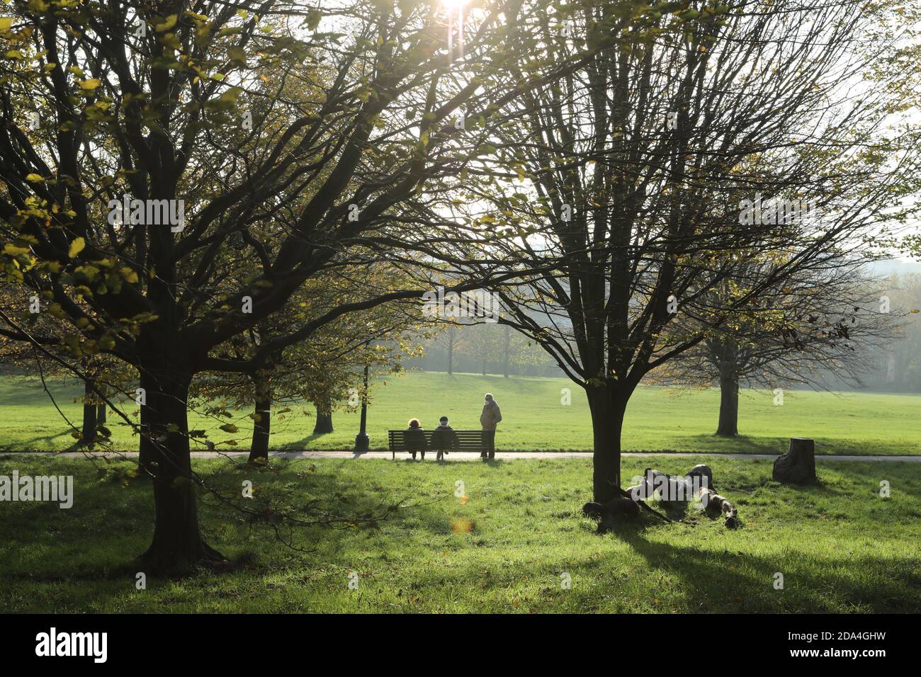 Autumn in Primrose Hill, London Stock Photo - Alamy
