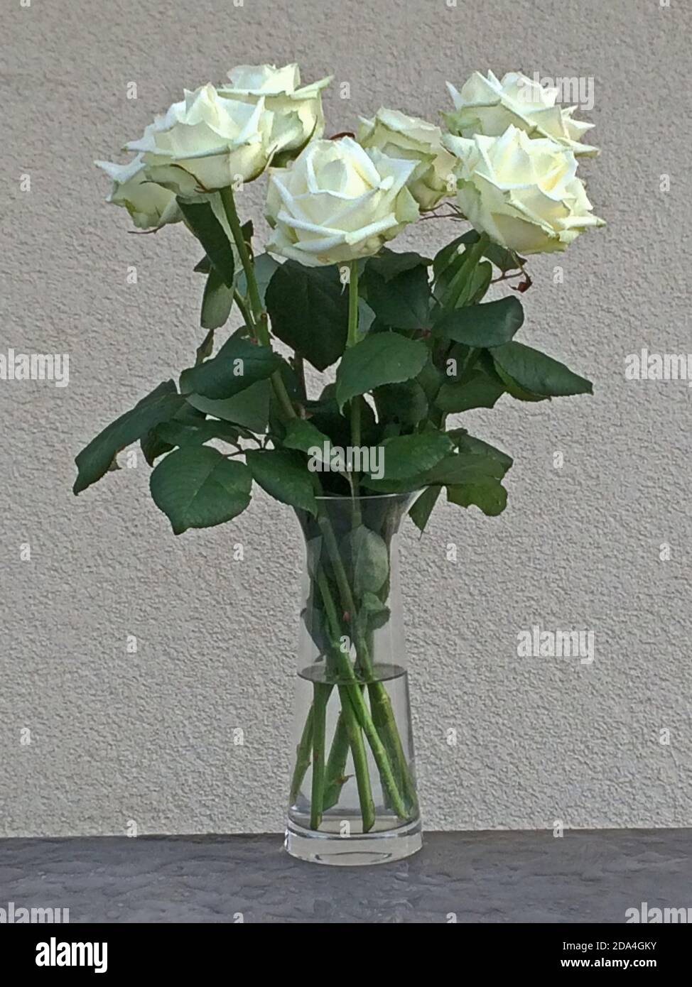 Distracting background hi-res stock photography and images - Alamy