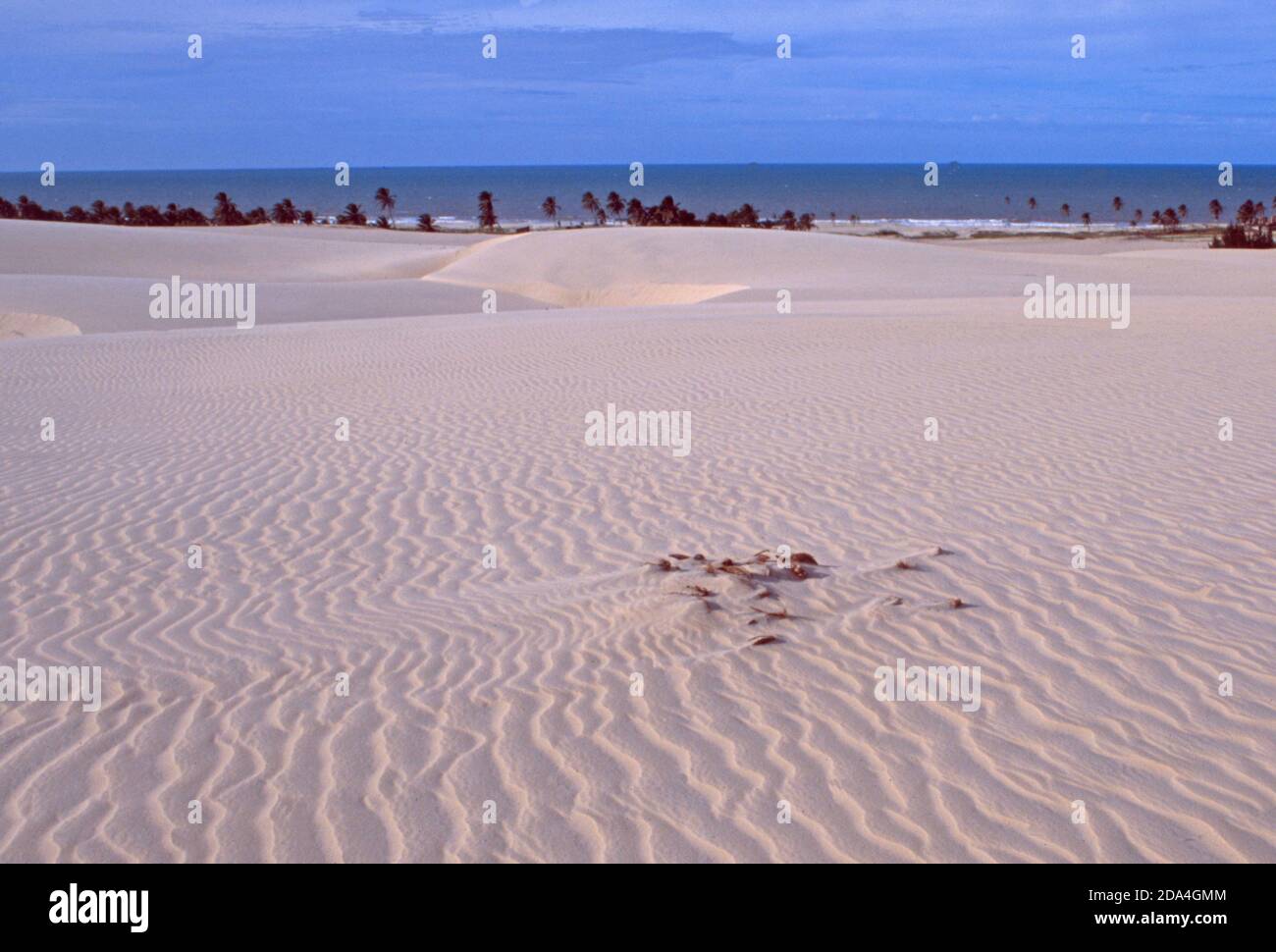 Jericoacoara village hi-res stock photography and images - Alamy
