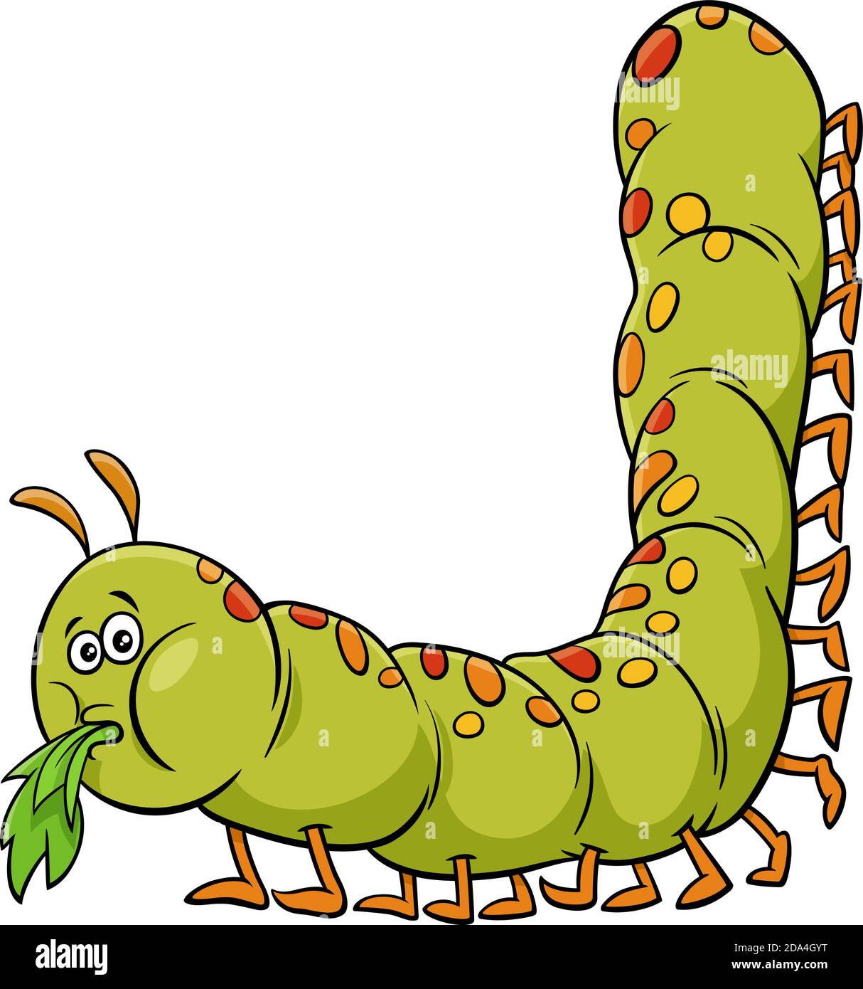 Cartoon illustration of caterpillar insect animal character Stock ...