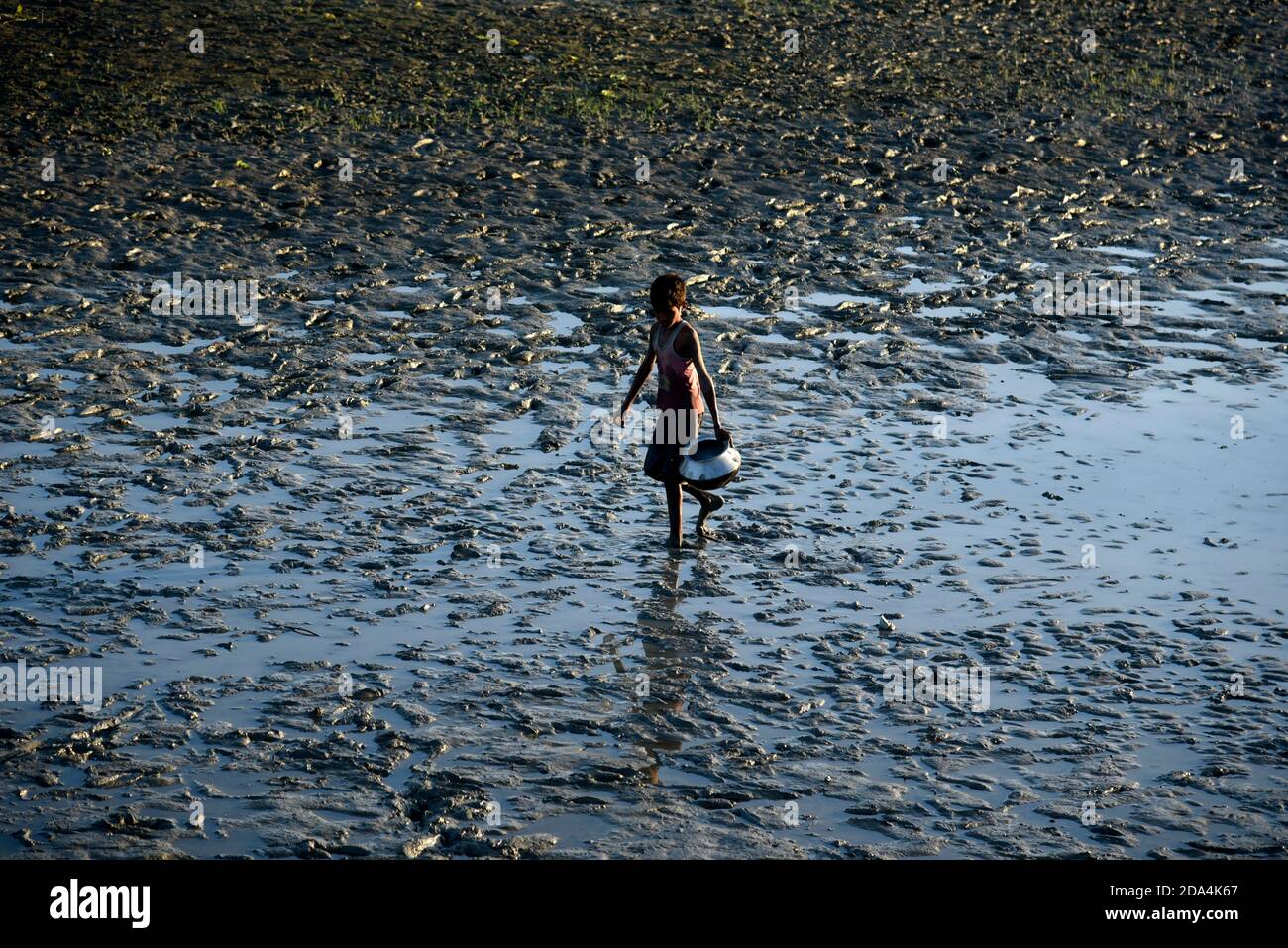 Assam, India. 09th Nov, 2020. A boy catching fish in mud water in a ...
