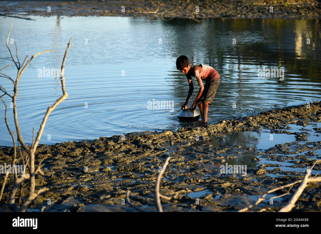 Assam, India. 09th Nov, 2020. A boy catching fish in mud water in a ...