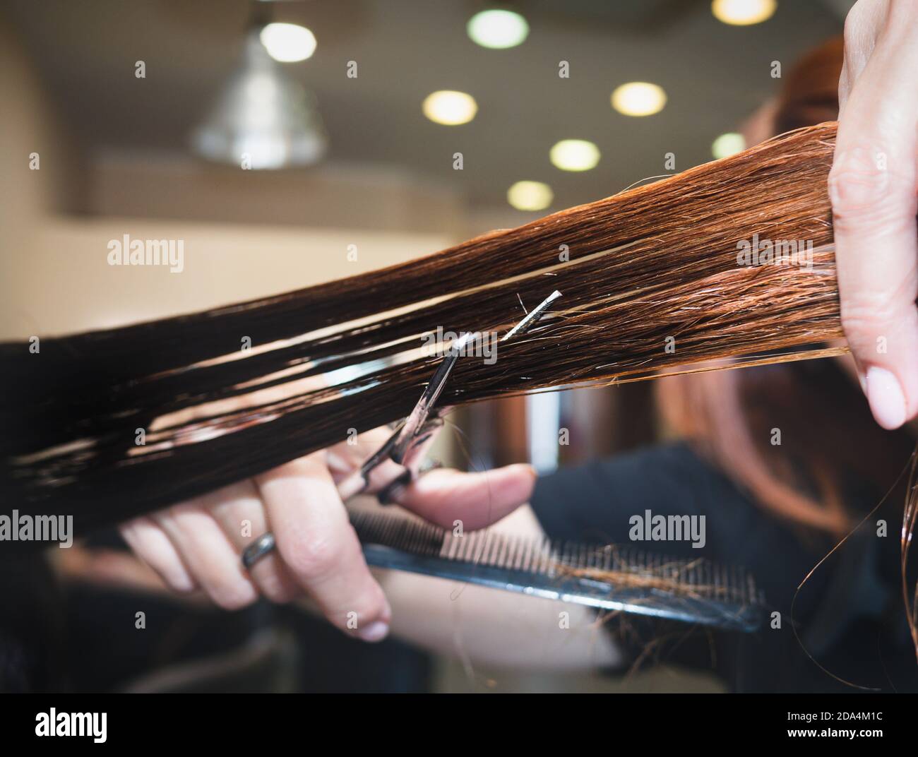 Professional hairdresser cut hair. Haircut close up. Scissor cutting ...