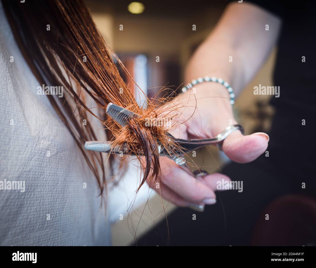 Professional hairdresser cut hair. Haircut close up. Scissor cutting ...