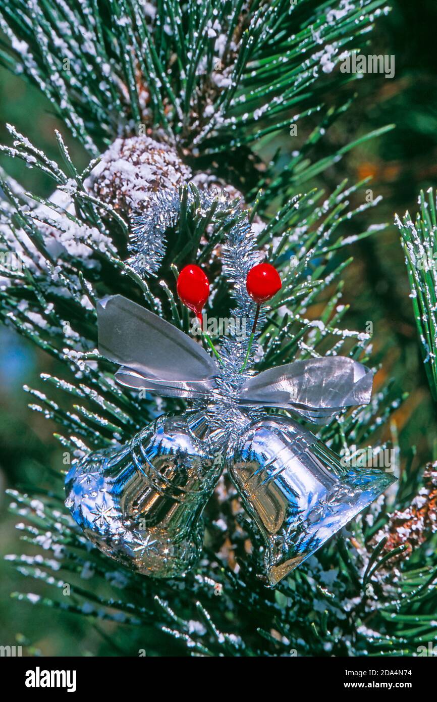 Silver Bell Tree High Resolution Stock Photography and Images - Alamy
