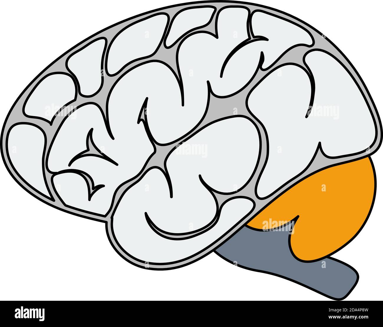 Brain Icon. Editable Outline With Color Fill Design. Vector ...