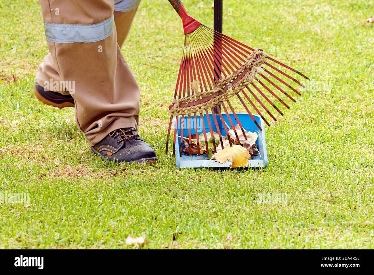 Sweeping back hi-res stock photography and images - Alamy