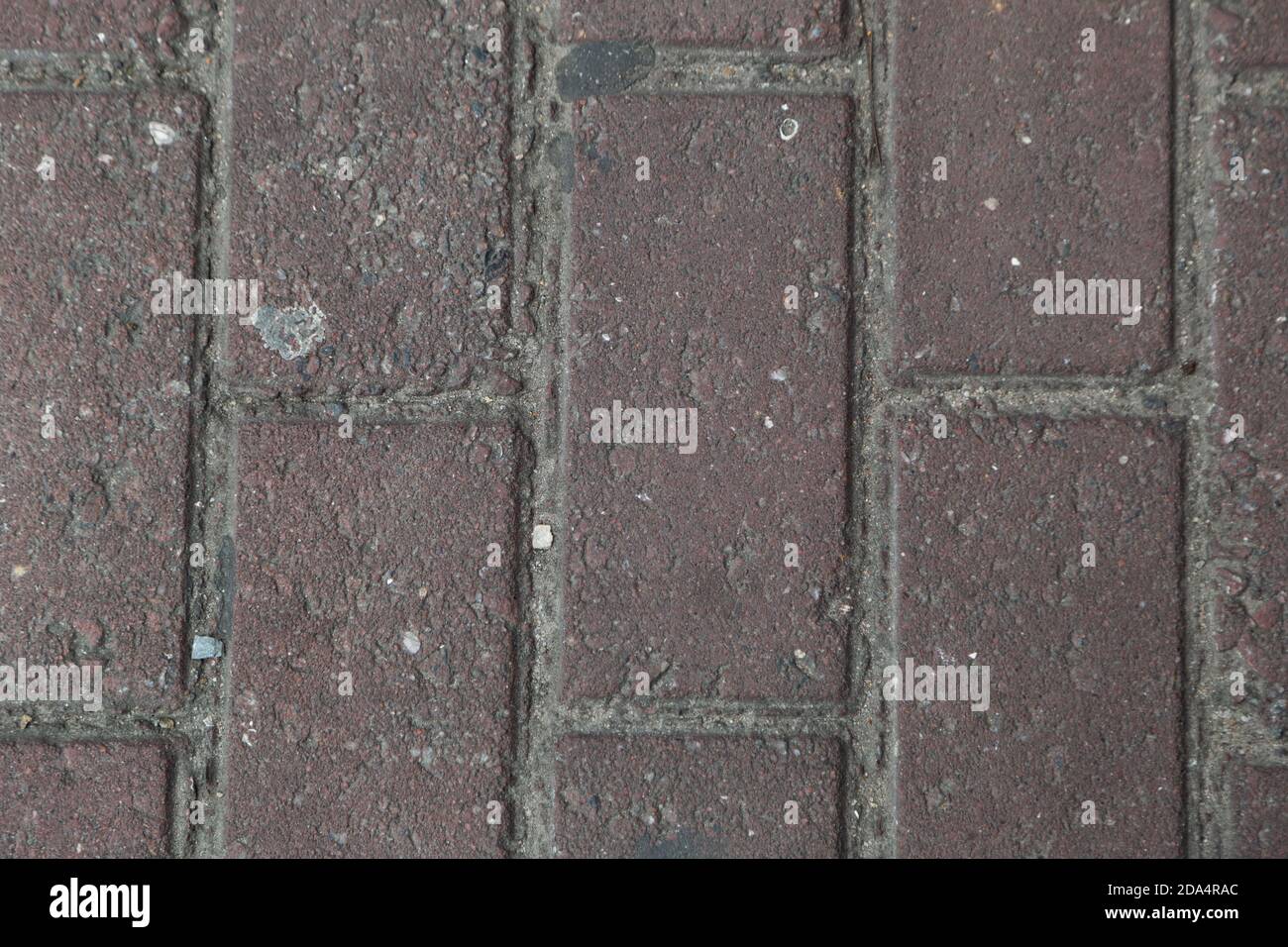 Top view of a cobblestone pavement at daylight - perfect for overlays ...