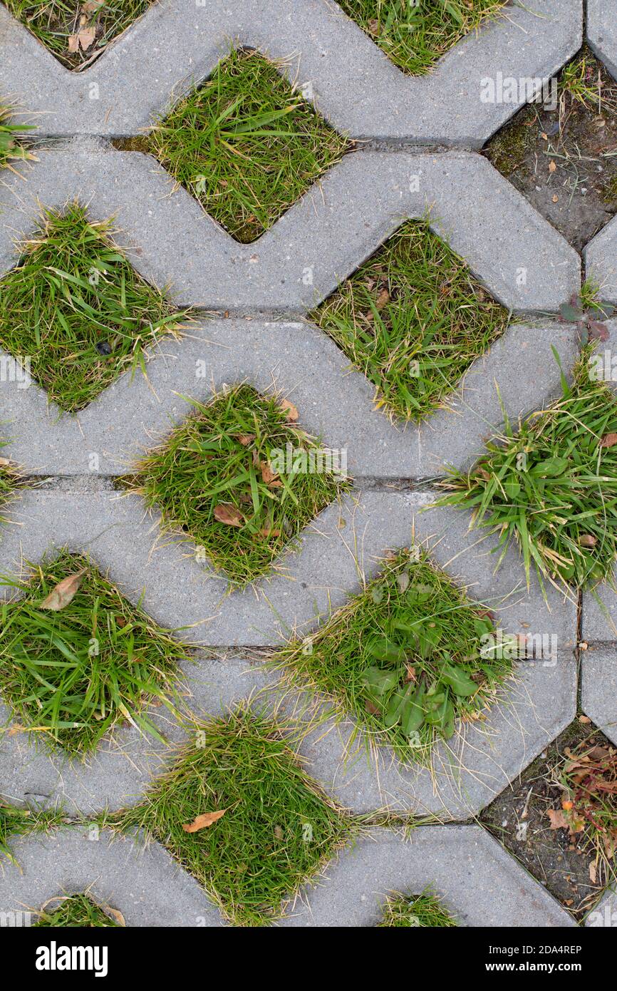 Cement grating with green grass, geometric eco-friendly city streets ...