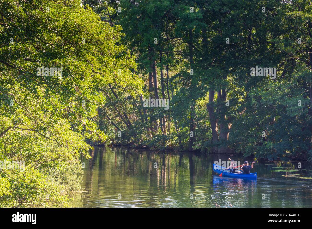 Groß Sarau: river Wakenitz, forest, canoeists, Herzogtum Lauenburg ...