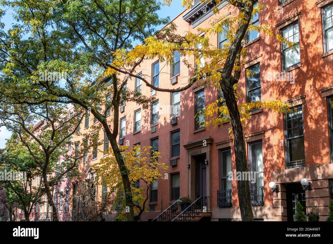 Tree lined street with colorful fall trees and historic buildings in ...
