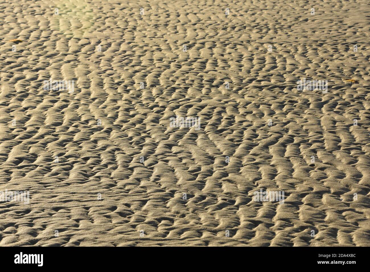 Beach with rippled textured design in the sand Stock Photo - Alamy