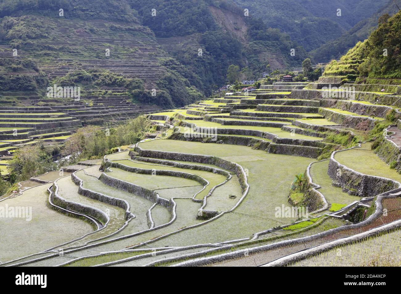 Hapao rice terraces Stock Photo - Alamy