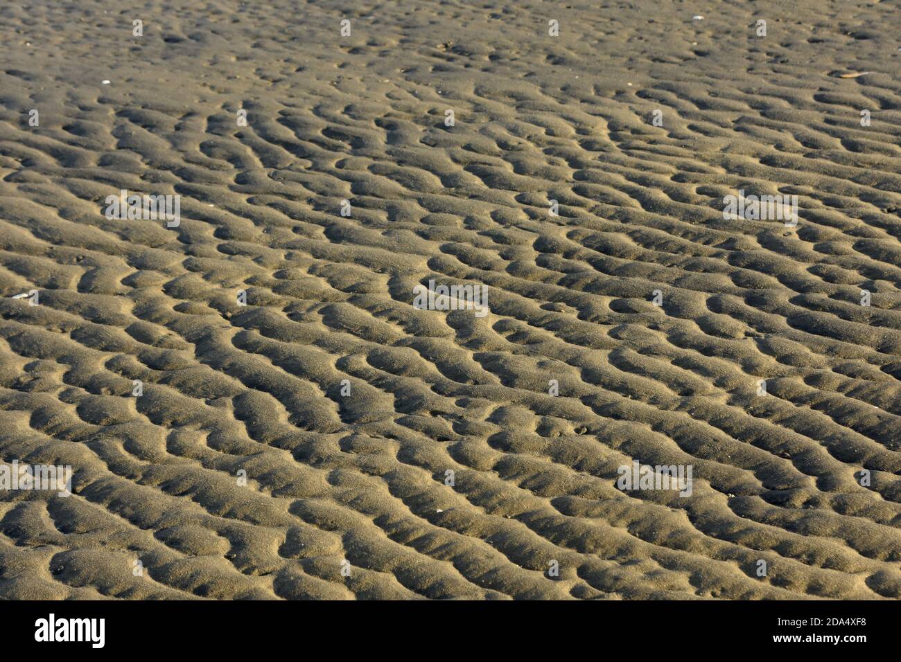 Rippling wave pattern in a sand beach Stock Photo - Alamy