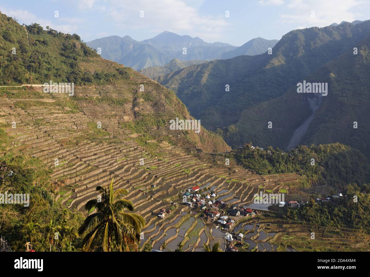 rice terraces near Banaue Stock Photo - Alamy