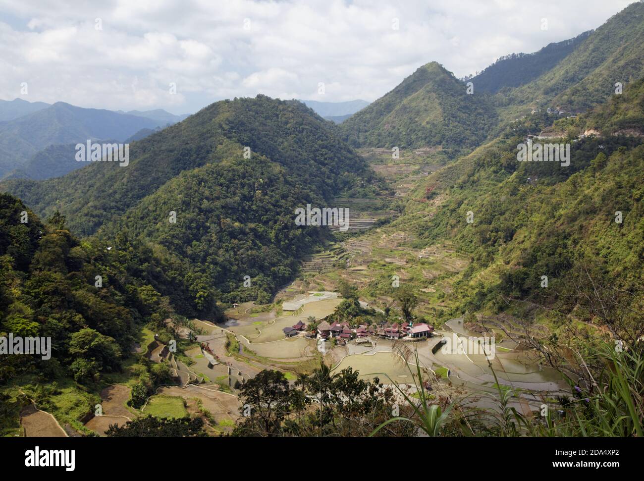 Banga philippines hi-res stock photography and images - Alamy