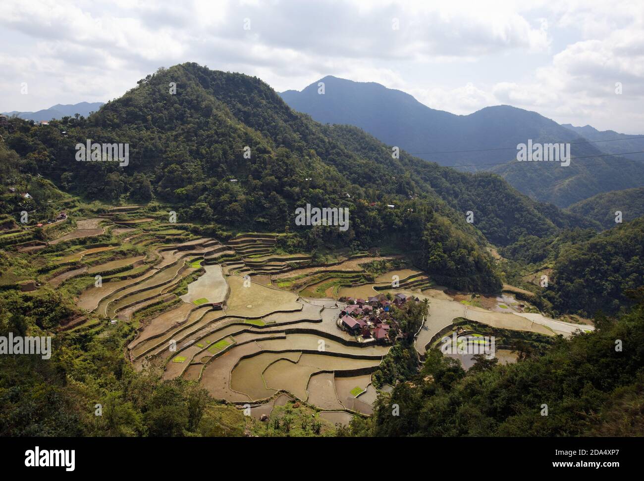 Banga philippines hi-res stock photography and images - Alamy