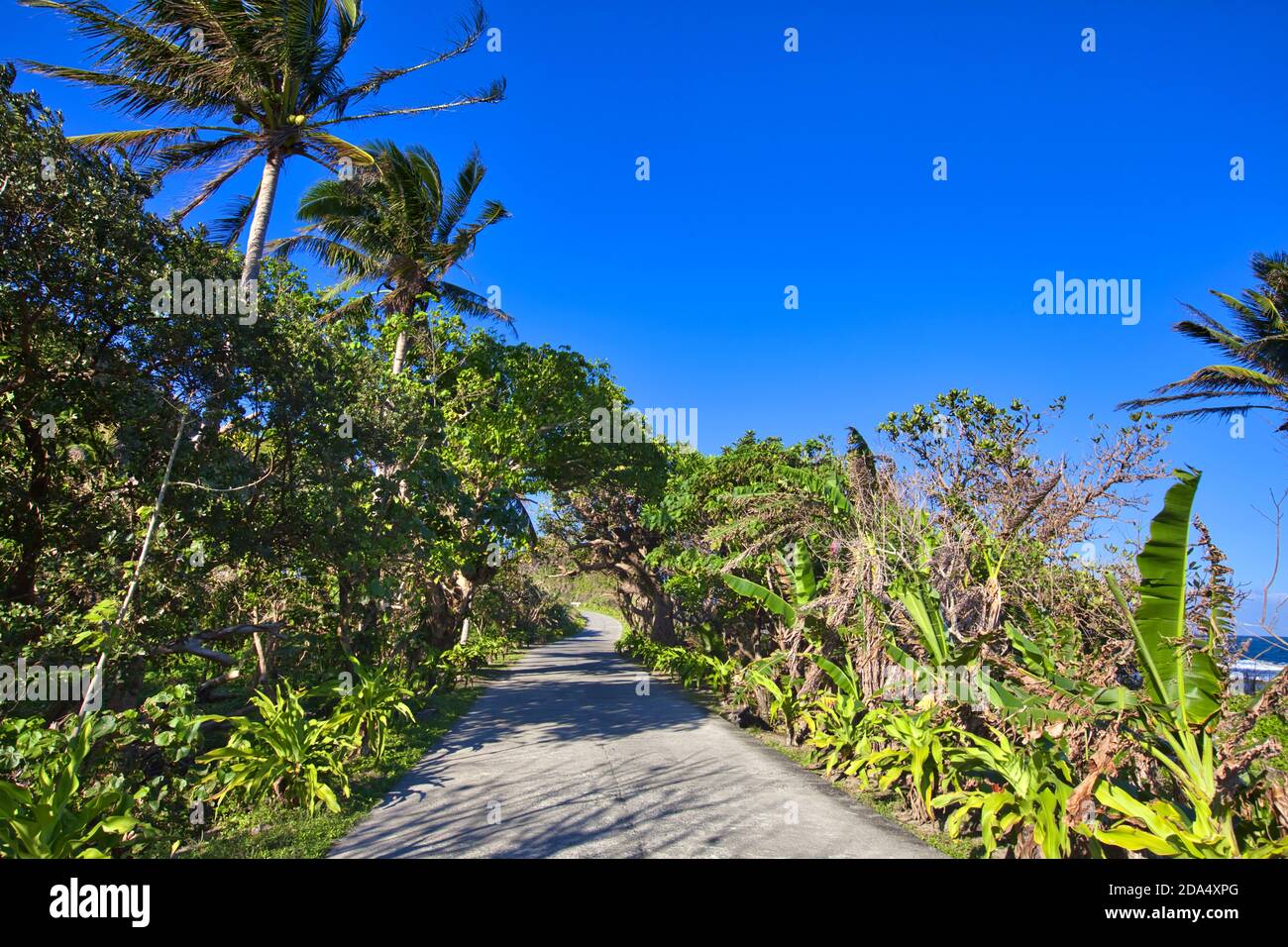 road near the beach Stock Photo - Alamy