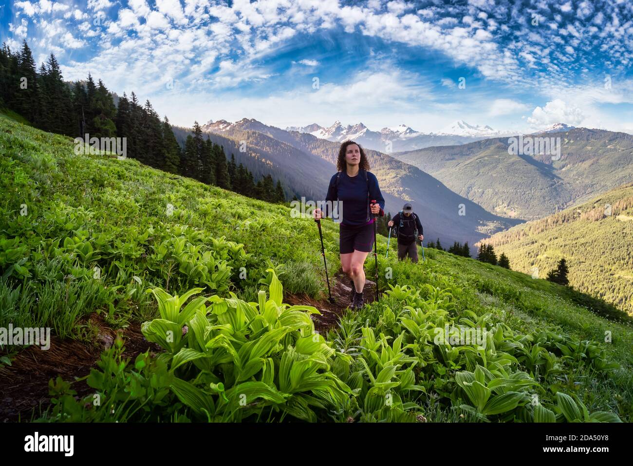 Adventurous people Hiking in the Canadian Mountains Stock Photo - Alamy