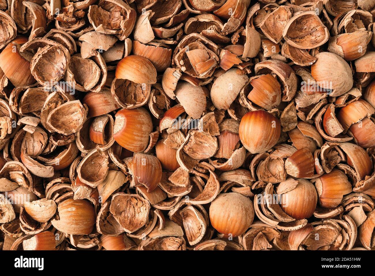 Hazelnut shells as a background. Healthy vegetarian eating, antioxidant ...