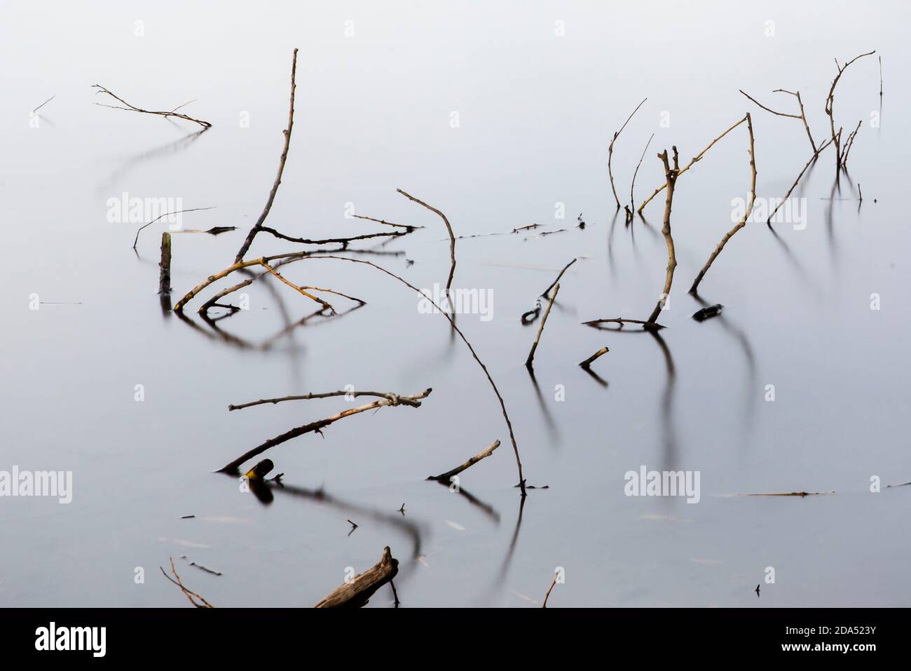 Long exposure vertical sticks on a pond Stock Photo - Alamy