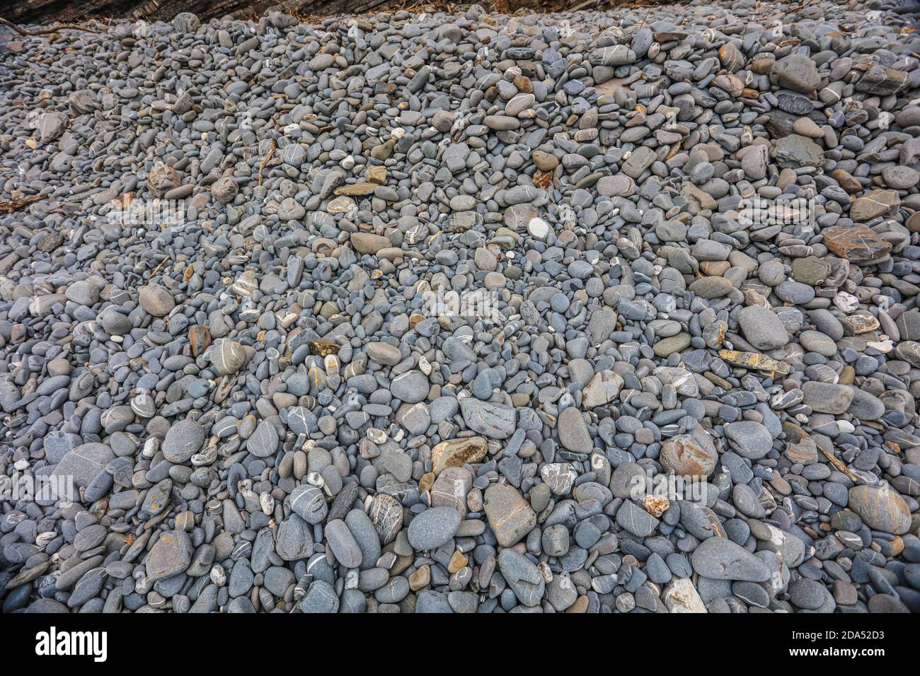 Millook Haven exhibits the best example of chevron faults in the ...