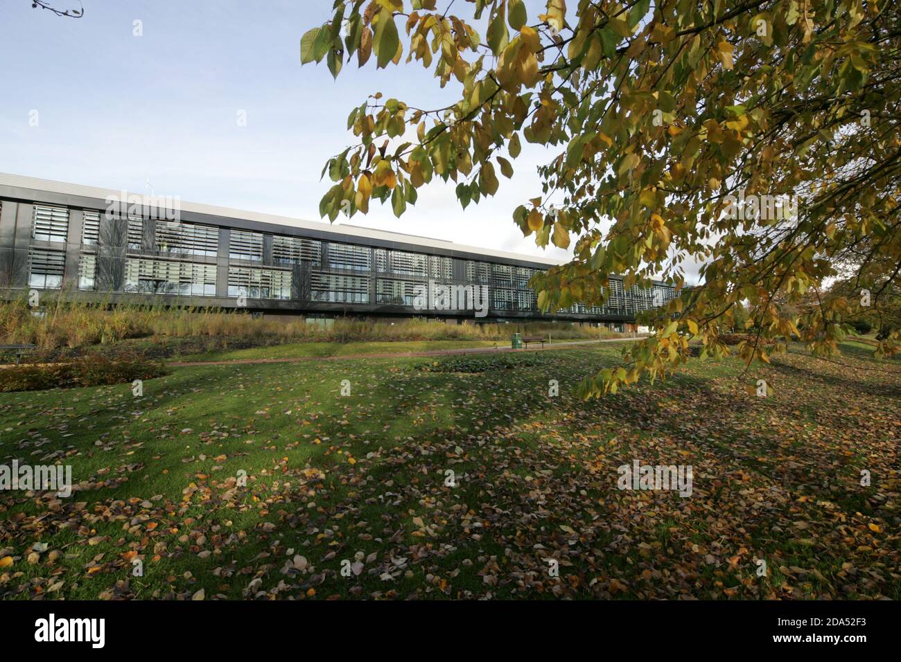 Autumn Colours River Ayr Walk Stock Photo - Alamy