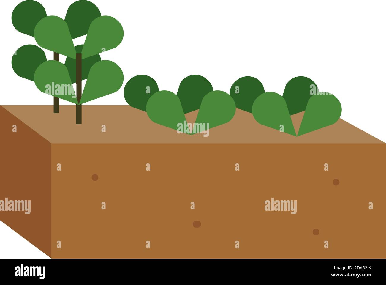 Isolated plant for sow home activities icon- Vector Stock Vector Image ...