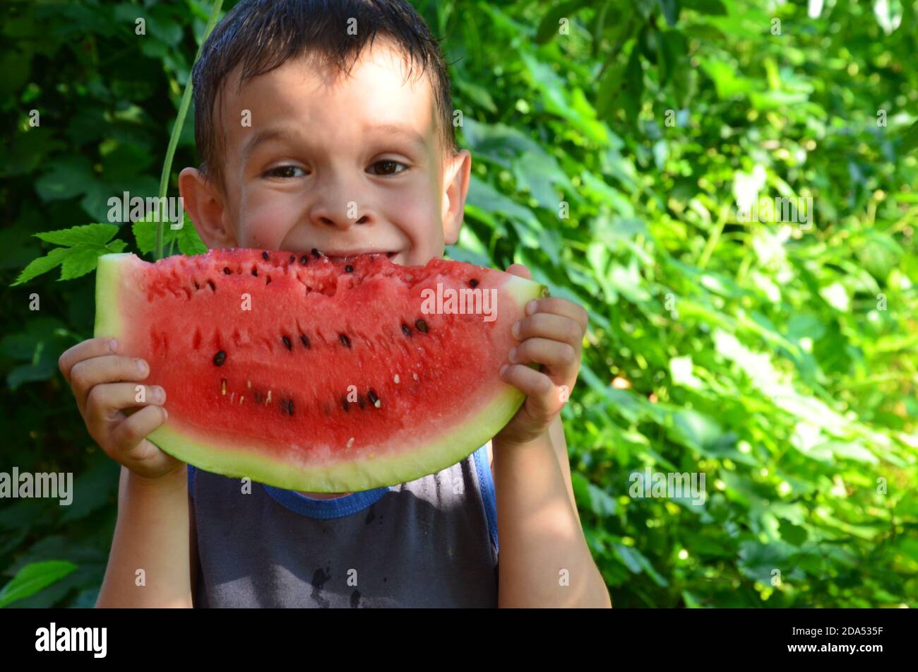 happy child eating watermelon in the garden Stock Photo - Alamy