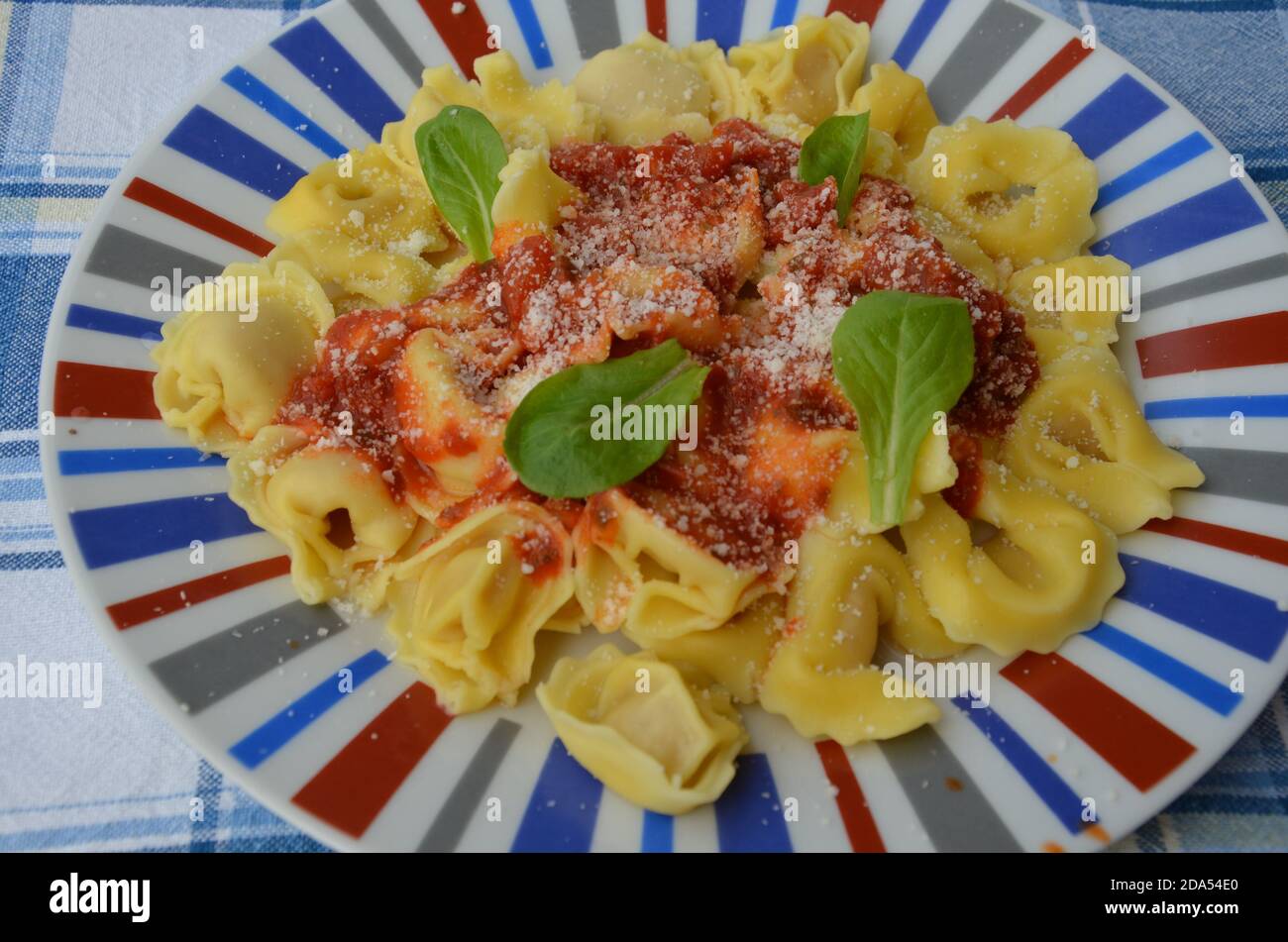 Homemade tortellini pasta with tomato sauce, herbs and garlic, basil in, topped with parmesan ...