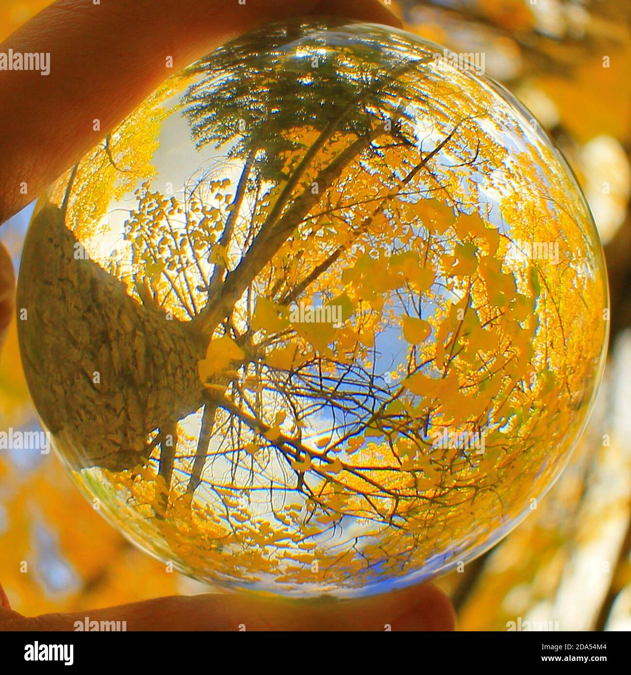 Capturing Fall in my Crystal Ball Stock Photo - Alamy