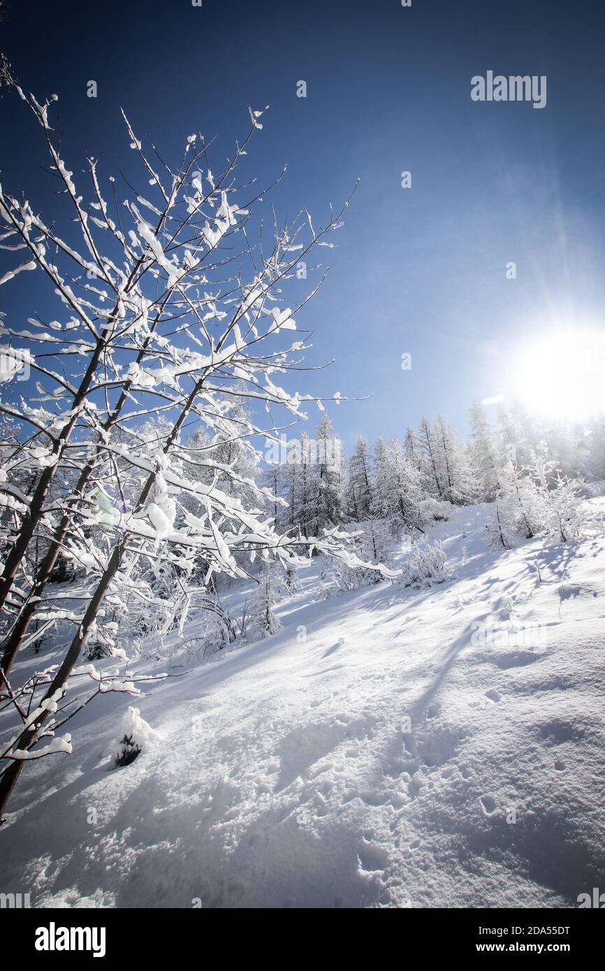 Winter in the Mountains. Beautiful alpine scenery from a forest walk in ...