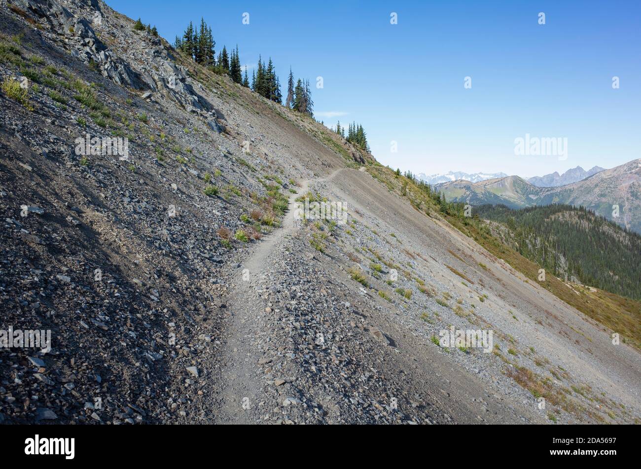 A steep hillside and forest on the Pacific Crest Trail Stock Photo - Alamy