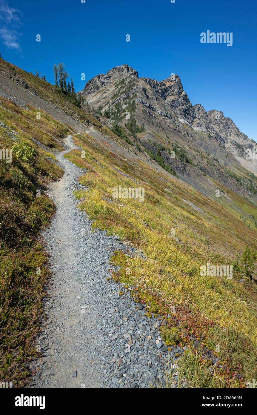 Path on a hillside on the Pacific Crest Trail Stock Photo - Alamy