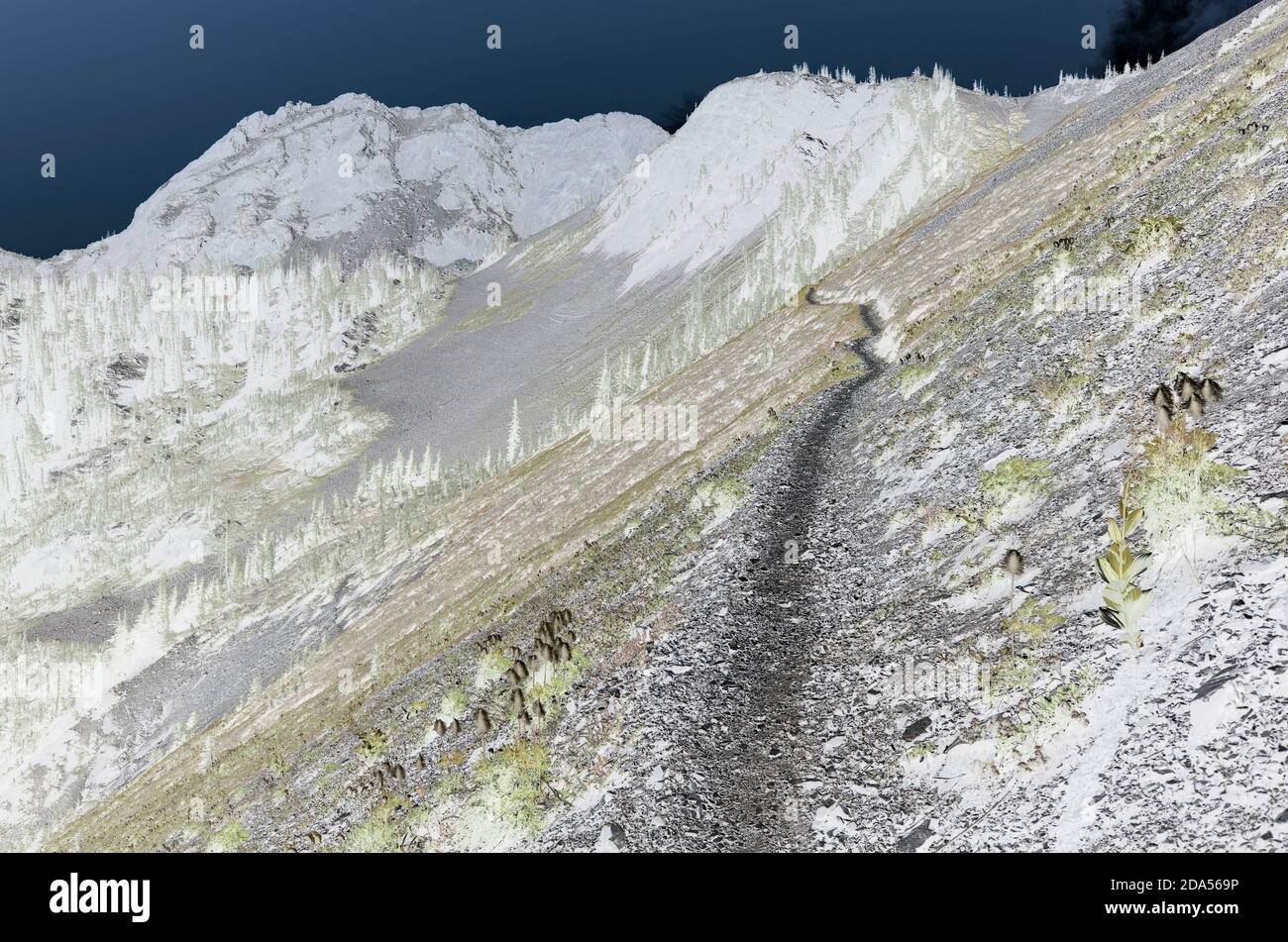 Hillside, pathway and shale on the Pacific Crest Trail Stock Photo - Alamy