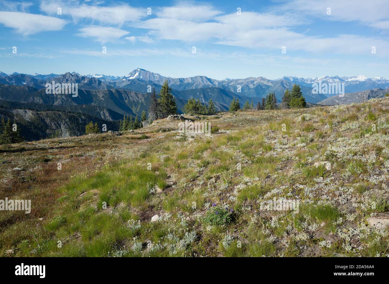 The North Cascade Range, view from the Pacific Crest Trail Stock Photo ...